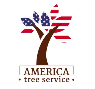 America Tree Service » Maryland's Tree Care Experts